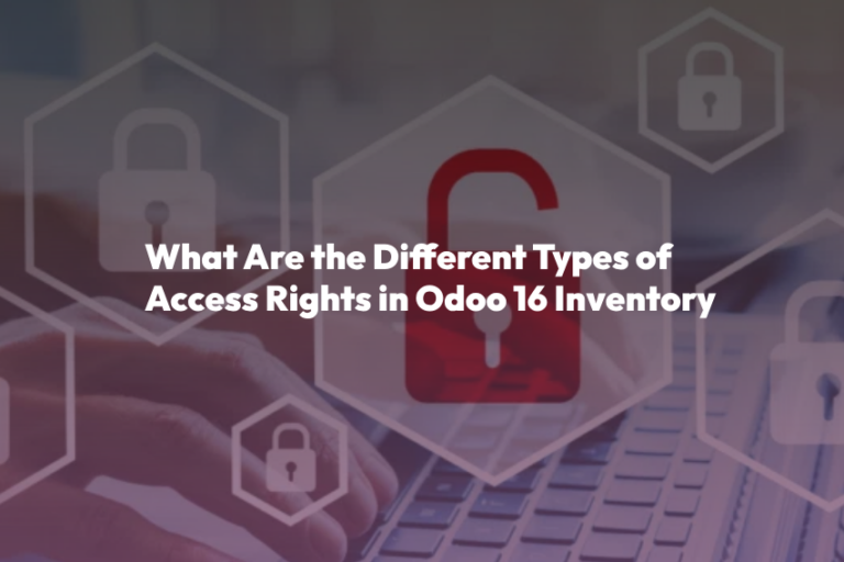 What Are the Different Types of Access Rights in Odoo 16 Inventory - ItsOdoo